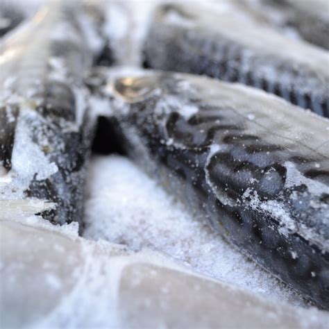 Как выбрать замороженную рыбу