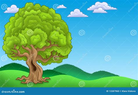 Landscape With Big Leafy Tree Stock Illustration Illustration Of