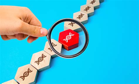 Forensic Genetic Genealogy Helps Solve Crimes And All States Should