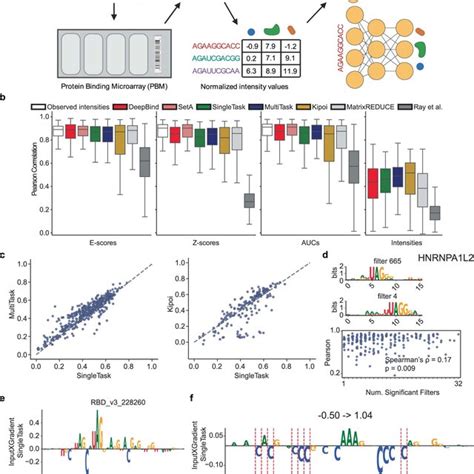 Jund Chip Seq Binding Classification A Kopp21 Use Case Schematic We