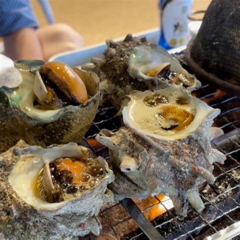千葉のおすすめ浜焼きランキングTOP4グルメ 千葉観光