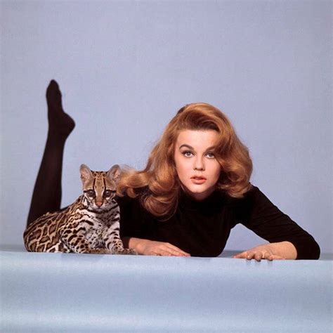 Vintage Everyday Ann Margret During The Filming Of “kitten With A