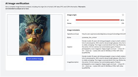 How To Find Ai Generated Image Detection R Dalle2