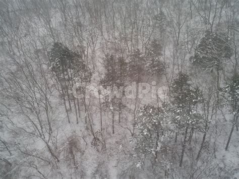눈 산 나무 설원 겨울 사진이미지일러스트캘리그라피 디디작가