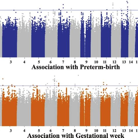 manhattan plots of the gwas data each dot represents a variant the