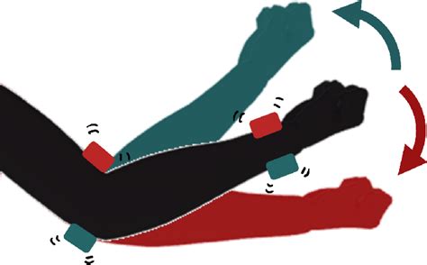 Figure 3 From Leveraging Tendon Vibration To Extend Pseudo Haptic