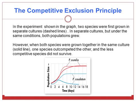 Competitive Exclusion Principle