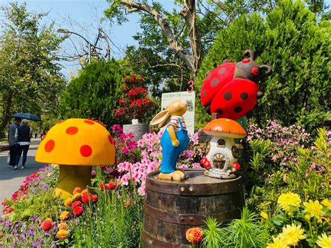 眼睛戀愛了！ 台北杜鵑花季粉爆大安森林公園