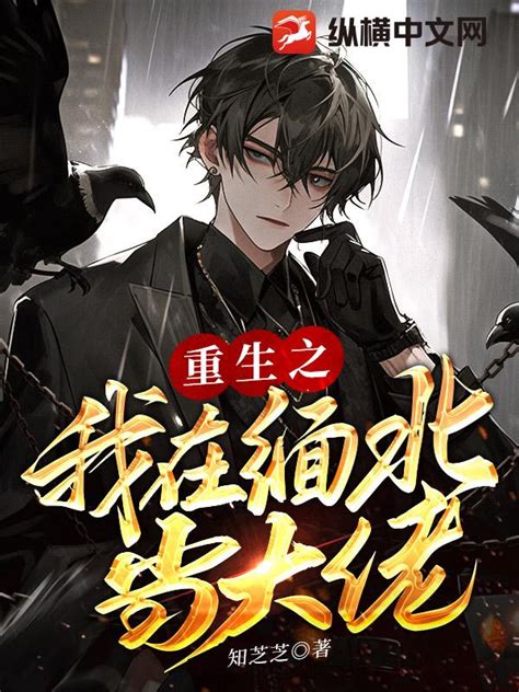 重生之我在缅北当大佬 知芝芝 最新章节全本在线阅读 纵横中文网官方正版