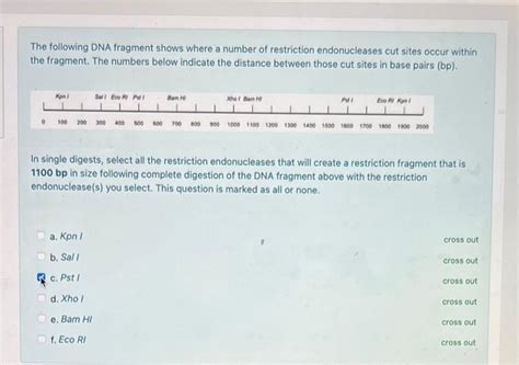 Solved The Following DNA Fragment Shows Where A Number Of Chegg