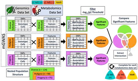 Workflow For Integration Of One Metabolomics Dataset With Genomics