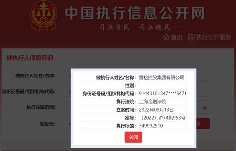 雪松控股被列入被执行人执行标的为7 49亿元 投资 张劲 管理