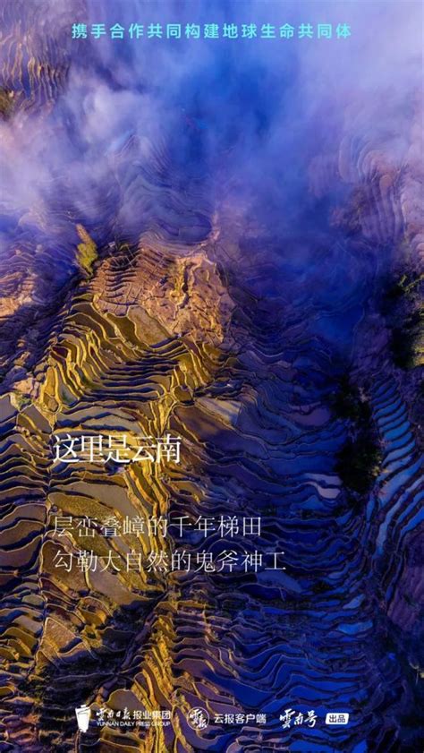 推荐｜这里是云南腾讯新闻