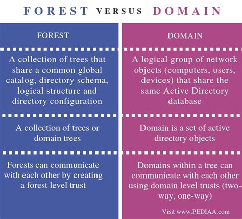 What Is The Difference Between Forest And Domain Pediaacom