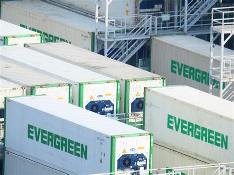 What Is A Reefer Container Dimensions And How They Work Container News