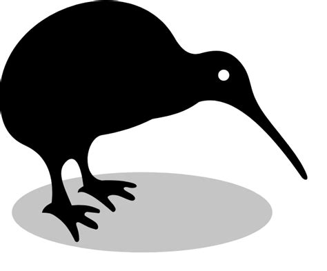 Php Echos File As Text Instead Of Binary On Server Stack Overflow