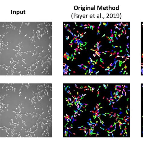 This Figure Shows The Qualitative Instance Segmentation And Tracking Download Scientific