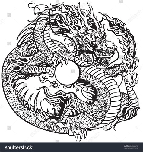 中国龙手拿珍珠，黑白纹身插画 库存矢量图（免版税）243037678 Shutterstock
