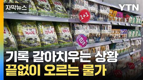 자막뉴스 물가 끝없이 고공행진한숨 깊어지는 서민들 Ytn