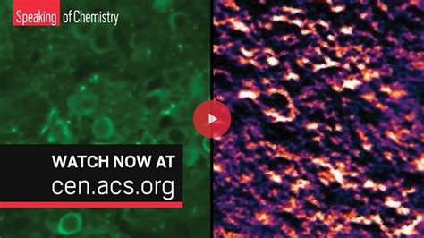 Video Nanosensors Shine A Light On Brain Chemistry