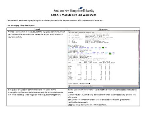 CYB Module Five Lab Worksheet CYB Module Five Lab Worksheet Complete This Worksheet By