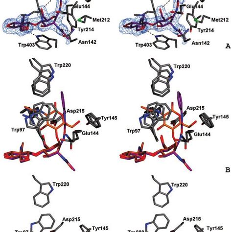 Chemical Structure Of Relevant Compounds A Oxazolinium Ion Reaction