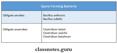 Morphology And Physiology Of Bacteria Question And Answers Class Notes