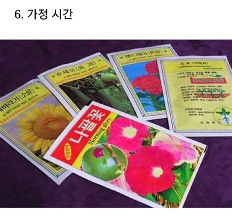 학창시절 추억의 준비물 인스티즈 Instiz 이슈 카테고리
