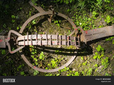 Real Bear Trap