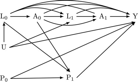 Causal Directed Acyclic Graph Encoding The Assumed Relationships