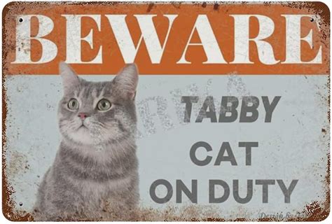 Cartel De Hierro Con Texto En Inglés Beware Tabby Cat On Duty Póster