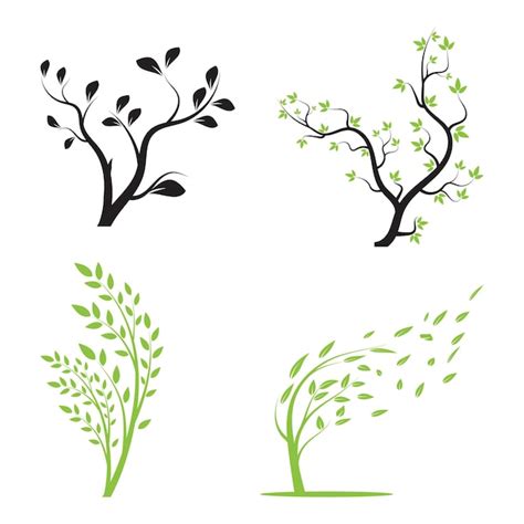 Rama árbol Vector Ilustración Verano Clipart Otoño Clipart Naturaleza