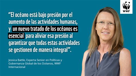 Los Países Incumplen La Promesa De Alcanzar Un Tratado Global Para La