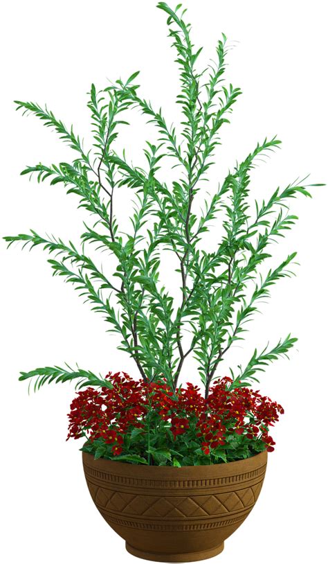 [300 ] Planter Png Images