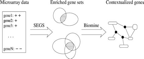 Microarray Gene Analytics Proceeds By First Finding Candidate Enriched Download Scientific
