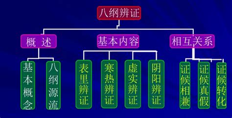 倪海厦《八纲辨证》精讲 收藏版艾灸症状依据