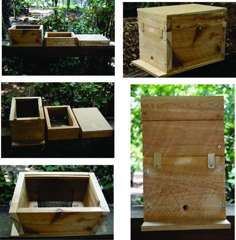 Stingless Bee Hive Golden Years Mens Shed