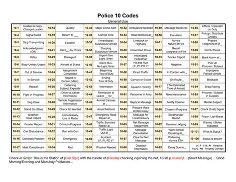 Pnp Ten Codes Docx
