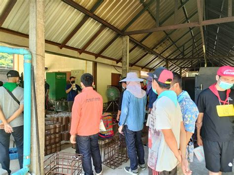 รายงานความก้าวหน้าโครงการเขตภาคเหนือตอนบน โครงการศึกษาวิจัยและพัฒนา
