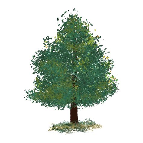 Nature Tree Landscape PNG