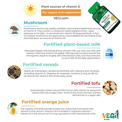 Vitamin B Rich Foods For Vegetarians 🌱vegi1