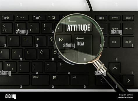 Text Caption Presenting Attitude Business Concept Settled Way Of Thinking Or Feeling About