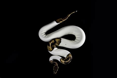 Programación Eficiente Con Python
