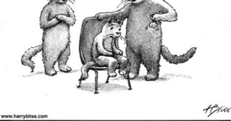 The Gofather Of Math Catnip Mystery Comic Relief 2127