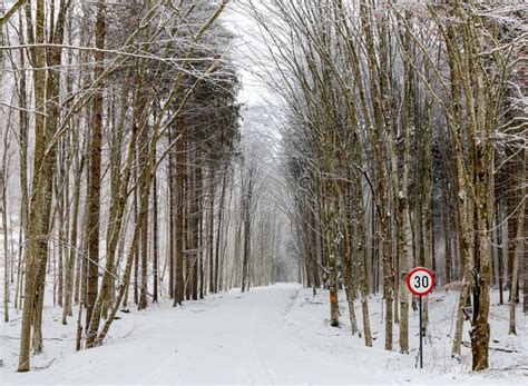Road Speed Limit Indicator 30 Km Per Hour On A Road Covered With Snow