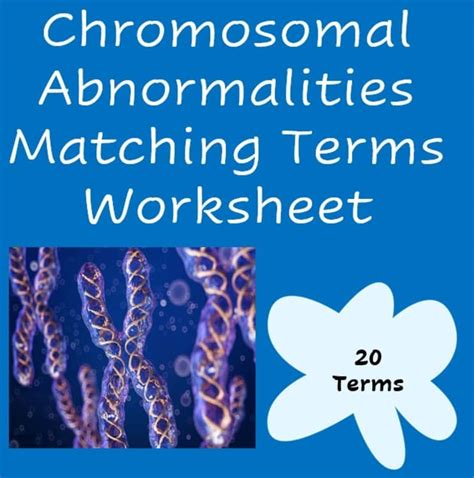 Chromosomal Abnormalities Matching Terms Worksheet Pregnancy Genetics Dna