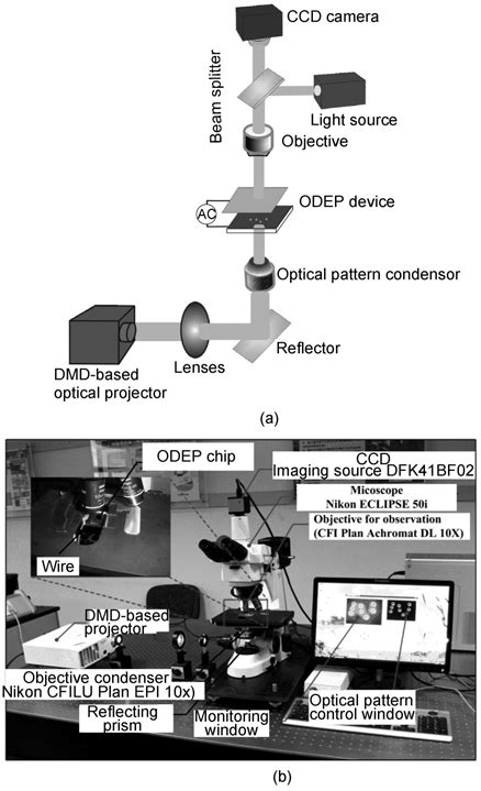 Experiment Setup For The Real Time Controllable Odep Platform A Download High Resolution