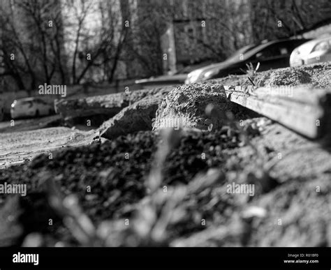 Belle Mère Banque De Photographies Et Dimages à Haute Résolution Alamy