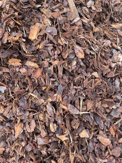 Decorative Pine Bark Nuggets Shelly Lighting