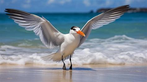 Premium Ai Image Royal Terns